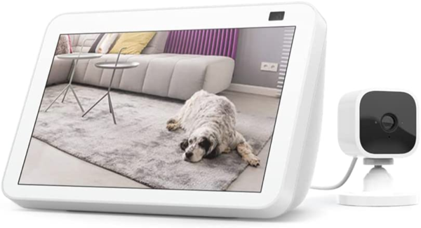 The Best Smart Display for Amazon Alexa and Google Assistant - Trusted ...